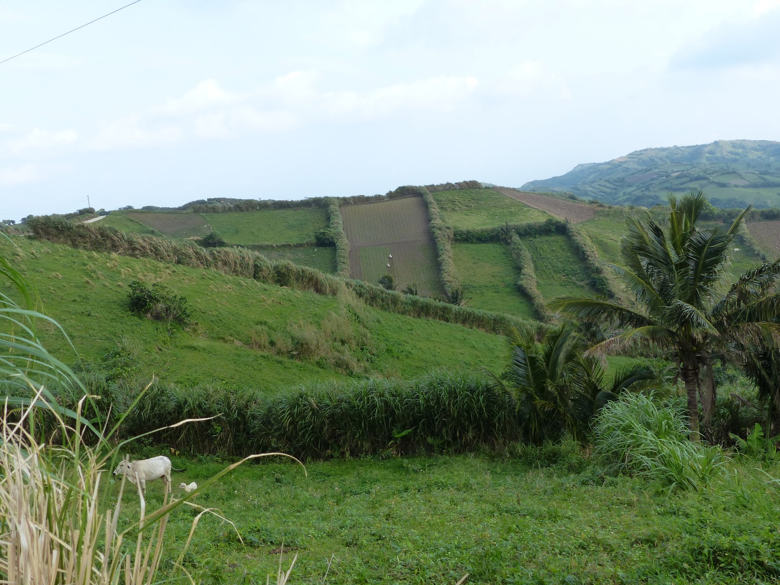 Connecting: Dateline: Mahatao, Batanes