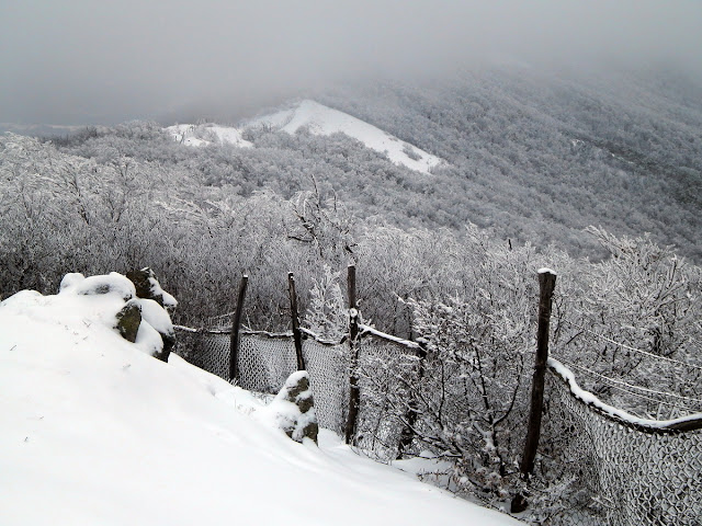 anta | Photography: Deli Jovan (1141 mnv) - Zimski uspon