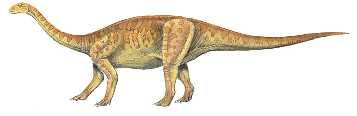 Dinosaurios: Yunnanosaurus