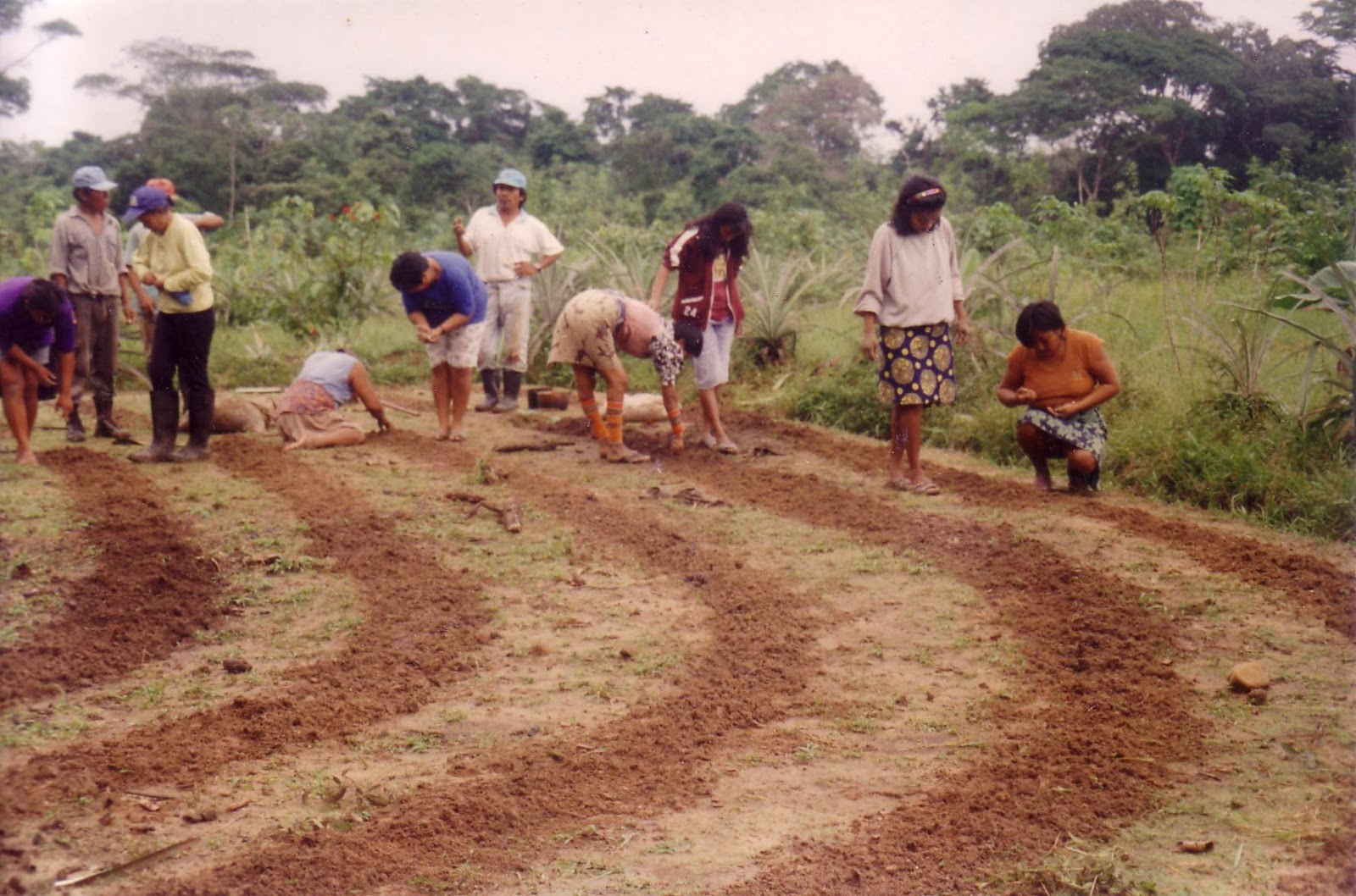 gubiler: EL DIÁLOGO, UNA HERRAMIENTA QUE NOS CONDUCE AL ÉXITO