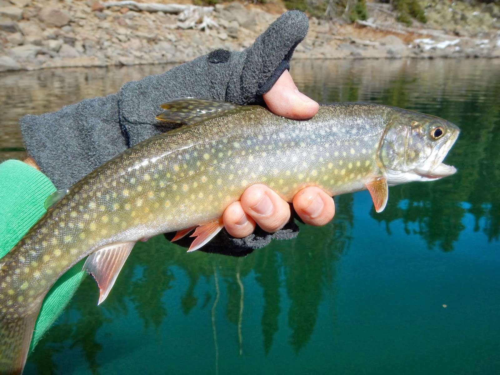 Troutings: Island Lake