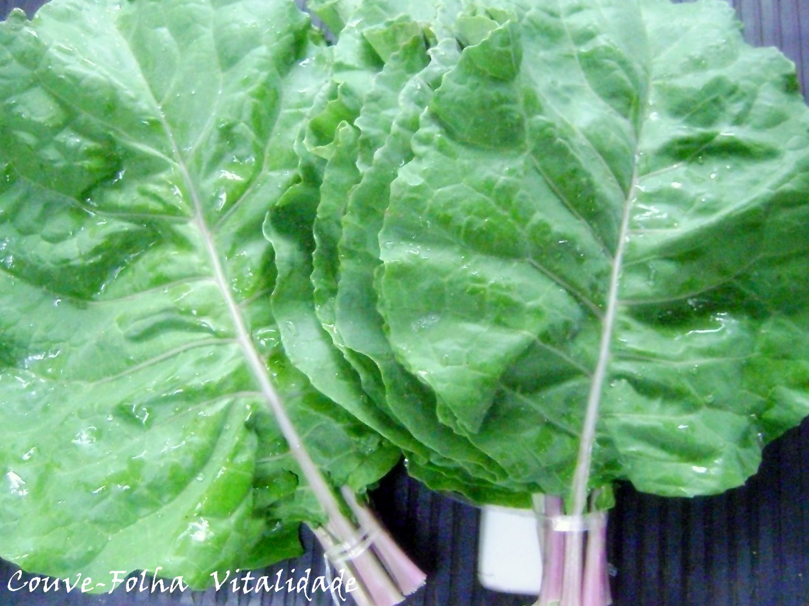 Horta Vitalidade: Couve-Folha