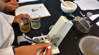 5TPIA14: DETERMINACIÓN DE GRADOS BRIX