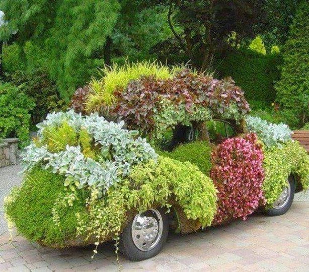 How to Recycle: Abandoned Cars Gardening
