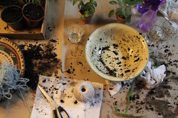 Hanging String Gardens (Kokedamas)!