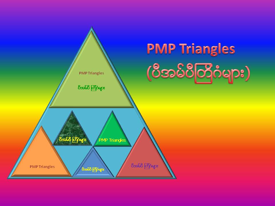 ပီအမ္ပီၾတိဂံမ်ား (PMP Triangles): ပေရာဂ်က္ အစီရင္ခံစာ အမ်ိဴးအစားမ်ား ...