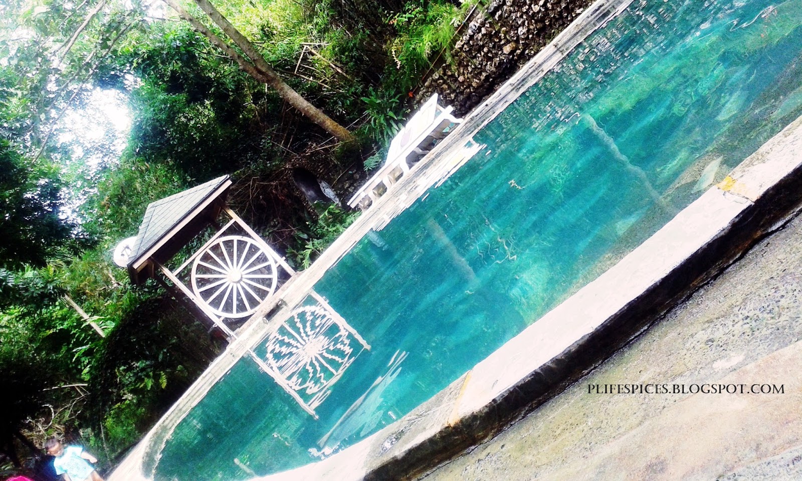 Green Mountain Spring Farm Resort and Spa