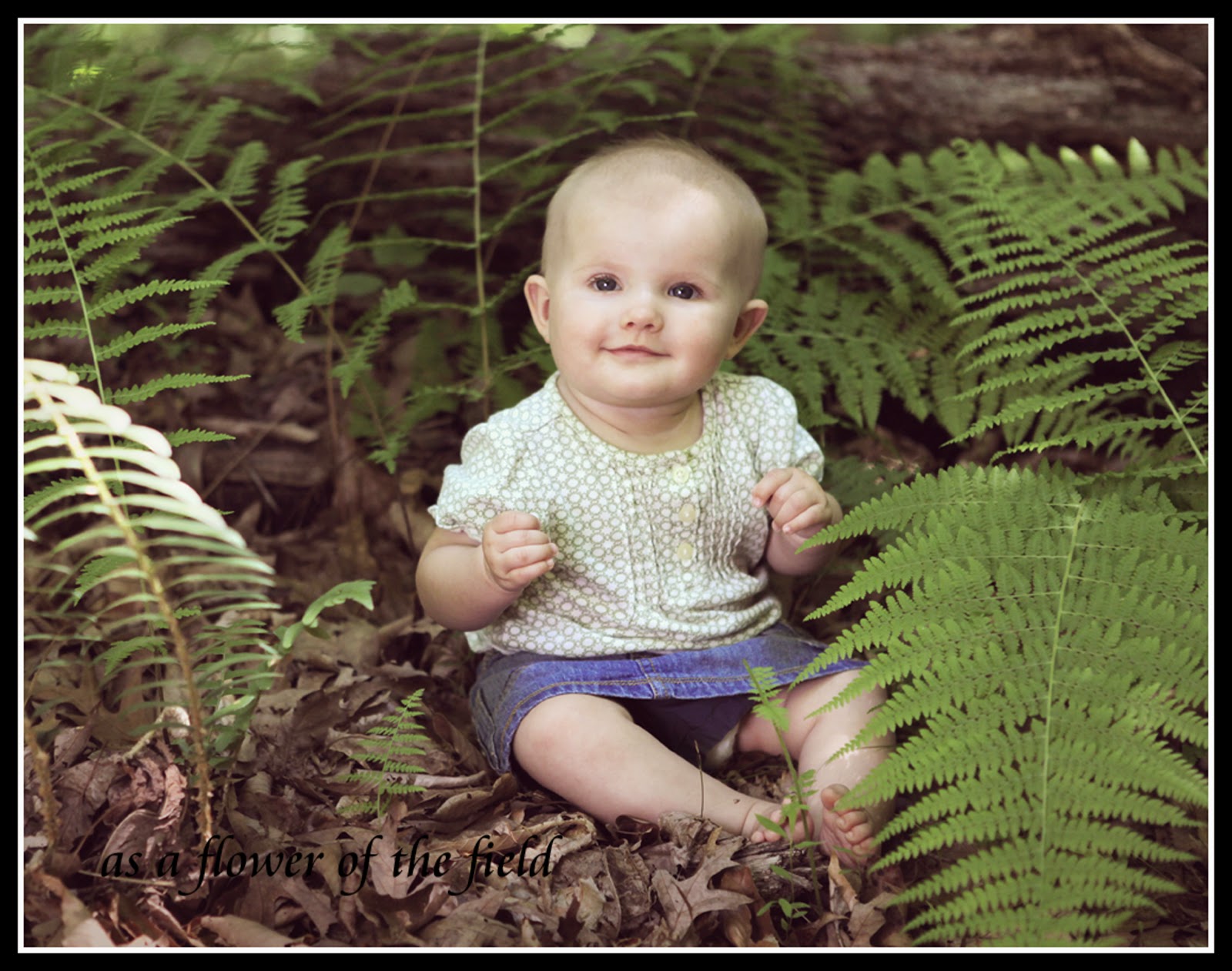 As a Flower of the Field: Shayla -- Baby Photography