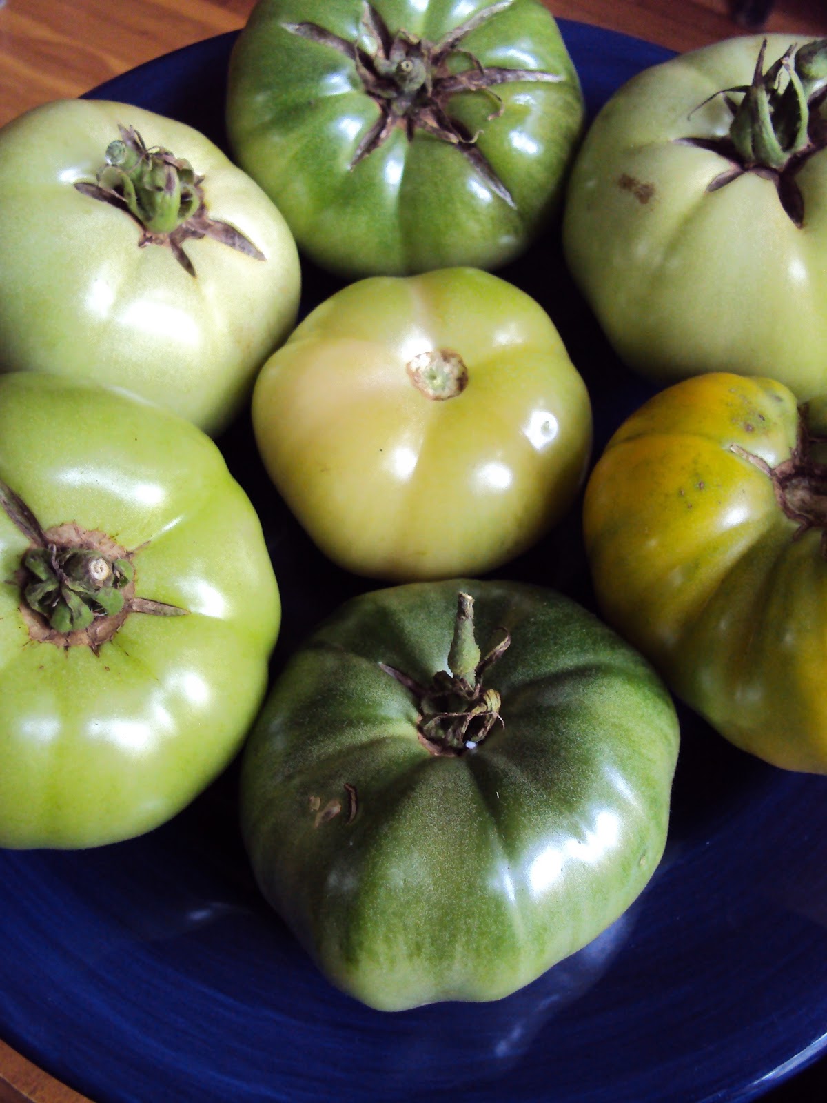 Pie for a Year: An Irrational Idea: Pie #16: Gross Pie (Green Tomato Pie)