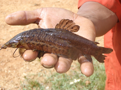 Ministry of Amerindian Affairs - Georgetown, Guyana