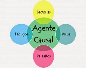 Epidemiología e Inmunología