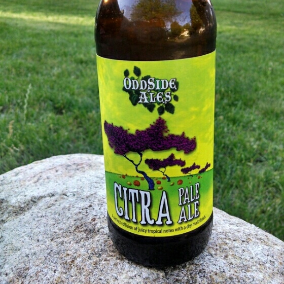 Odd Side Ales - Citra Pale Ale | Brew Day