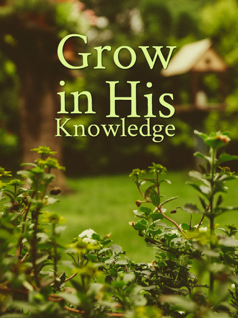 Daily Grace, Todays Godly Reminder , Bible Quotes, Verses, Prayers ...