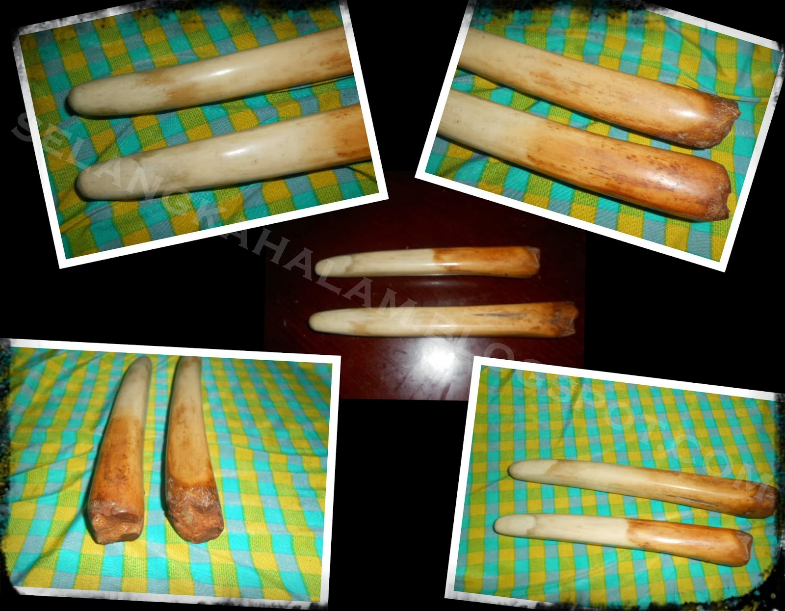 SELANGKAH KE ALAM MISTIK: GADING GAJAH MINA