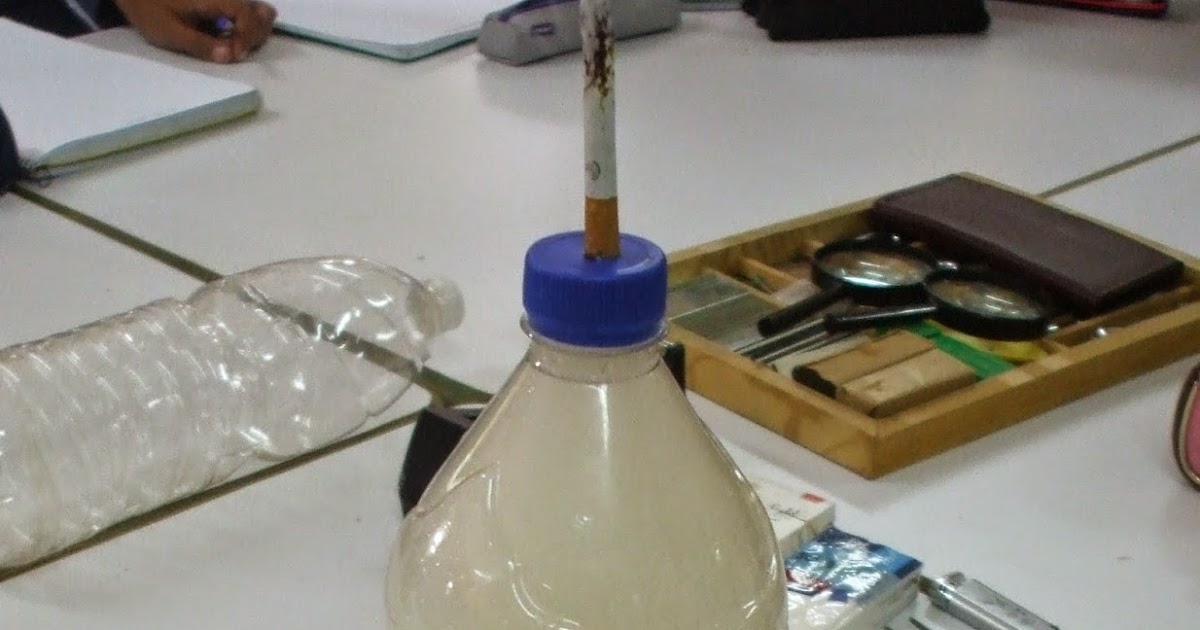 EL CUERPO HUMANO: LA BOTELLA FUMADORA