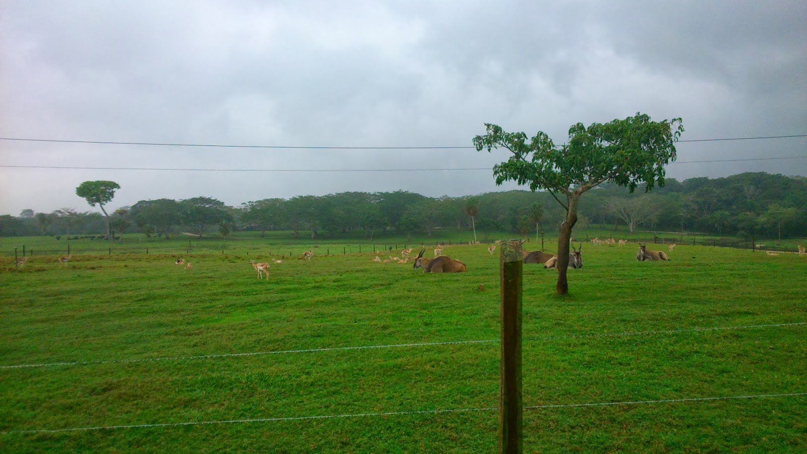 Acercamiento a las Ciencias Naturales: Principales ecosistemas de Tabasco