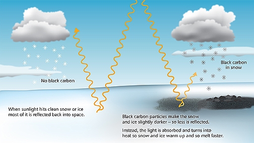 The Global Mirror: Black Snow