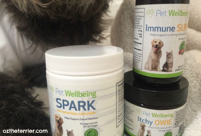 Pump Up Pet Health with Immune SURE #BooTheFlu | Oz the Terrier ...
