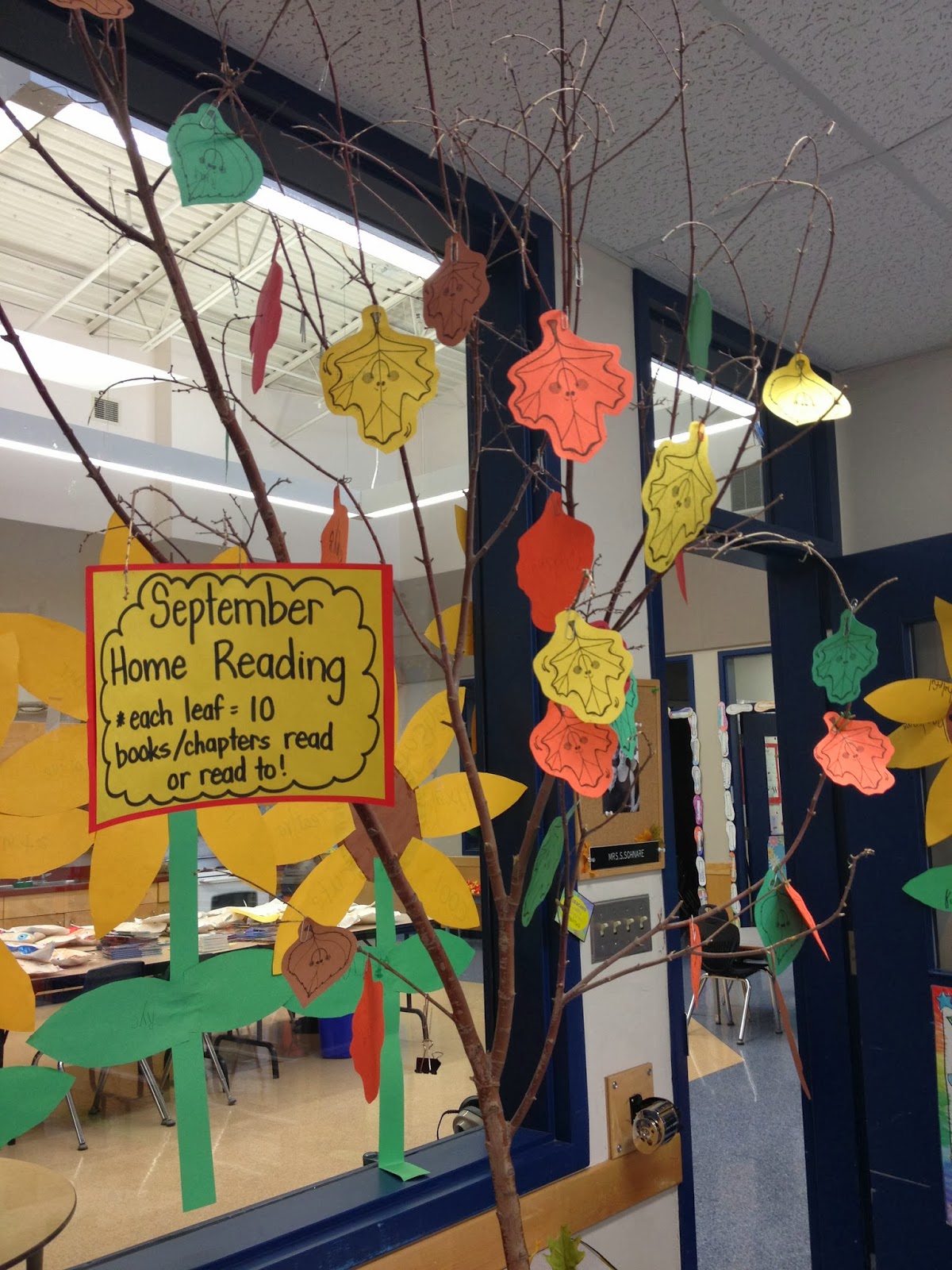 Learn and Explore in Room 204: Our Reading Tree