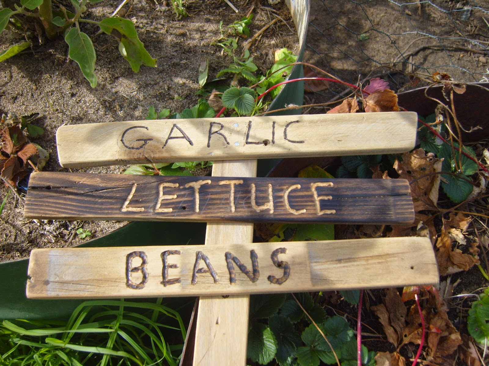 Barb'sBackyard: Wooden Garden Signs.