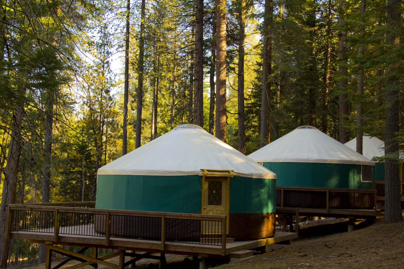 Camp Wawona News: The Final Yurt