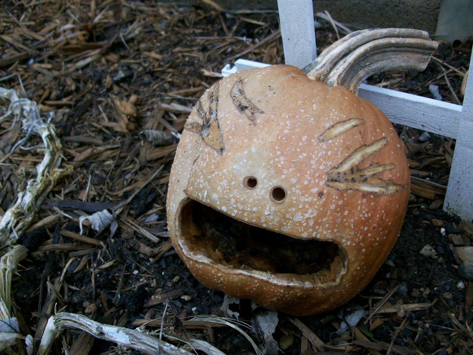 rhatfink-five-more-months-till-halloween