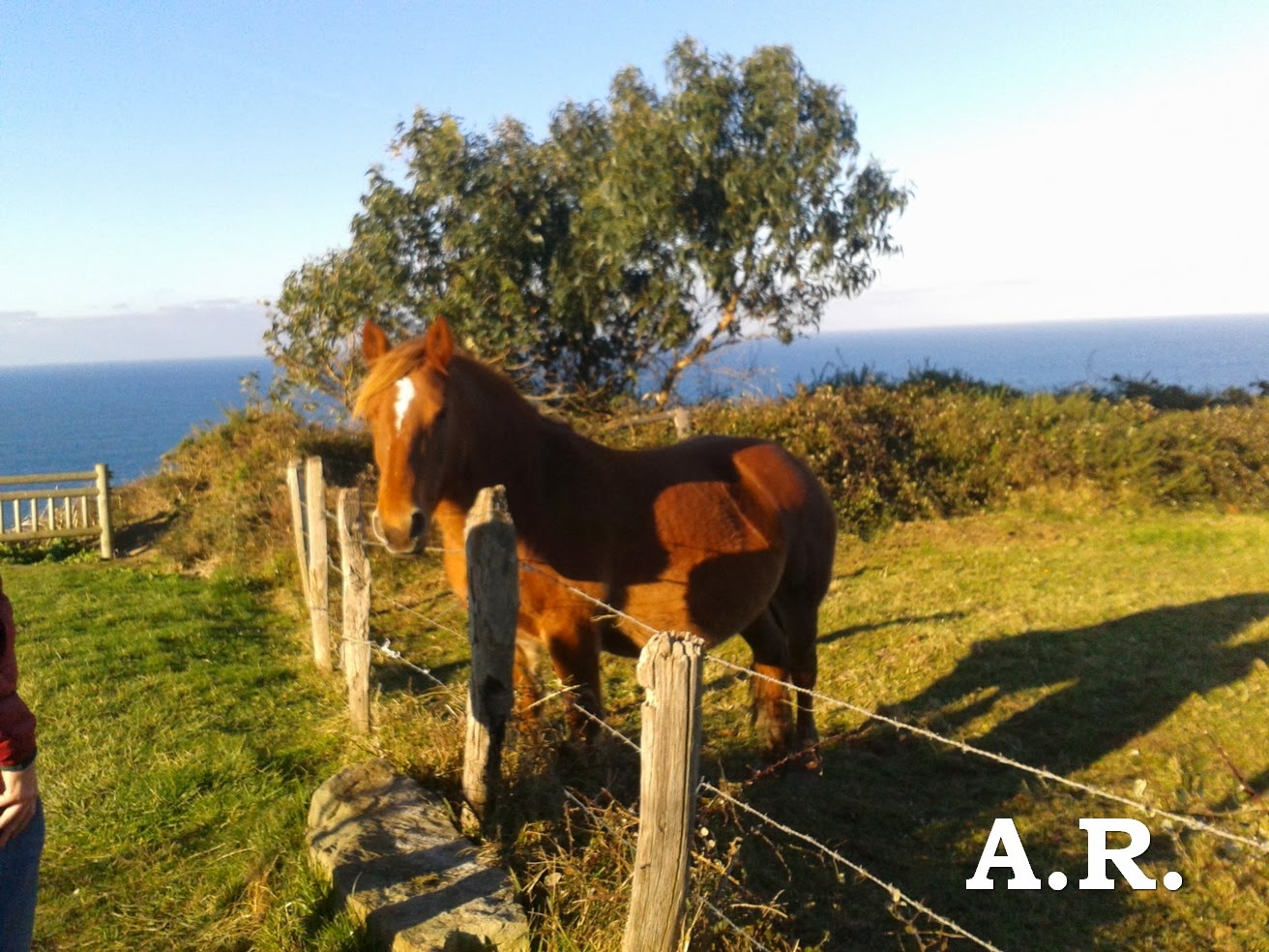 fotografía alonsorobisco.es: Fotografía S Faro de Lastres mar y ...
