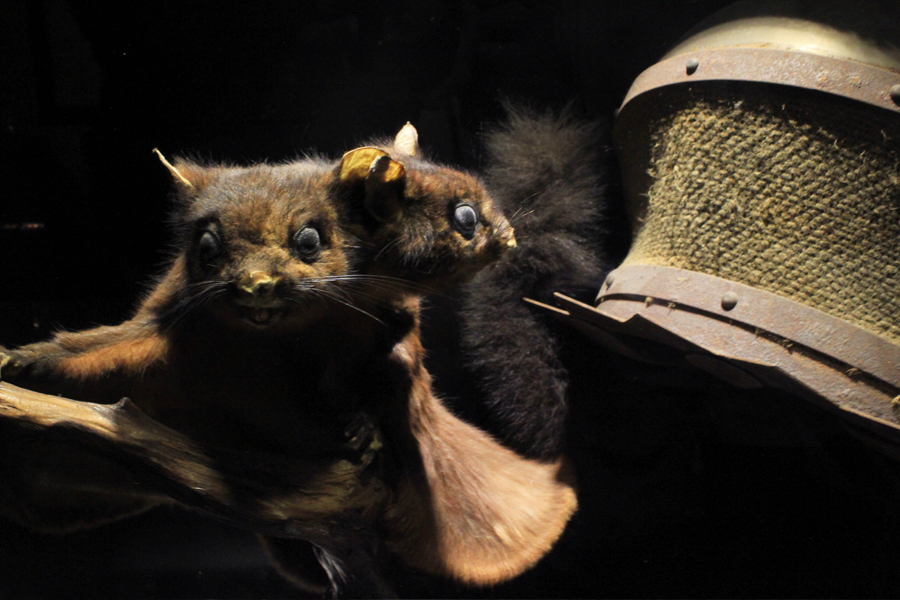 Danshui Old Street and Museum of the Strange @ Taiwan