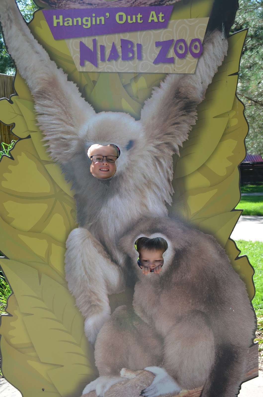 The Tucker Times: Niabi Zoo