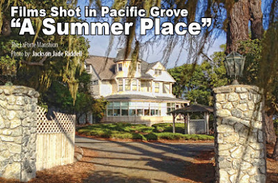 RICK'S REAL/REEL LIFE: ‘A Summer Place’ Still Steamy & Silly 1959