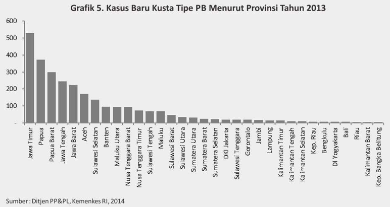 InfoDATIN: KUSTA - Pengertian Arti Definisi Dari
