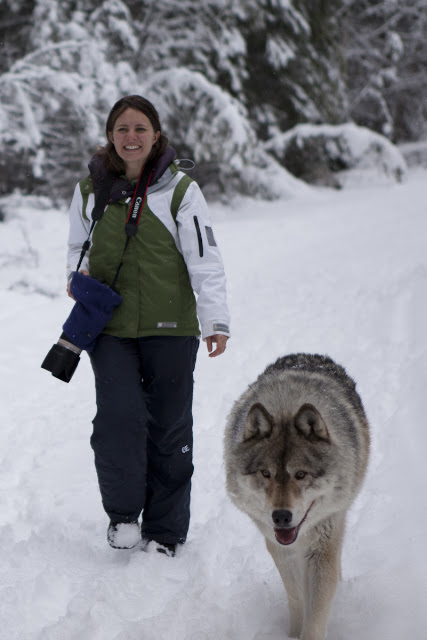 165 days in Canada EH !: Day 140 - Walking with the Wolves