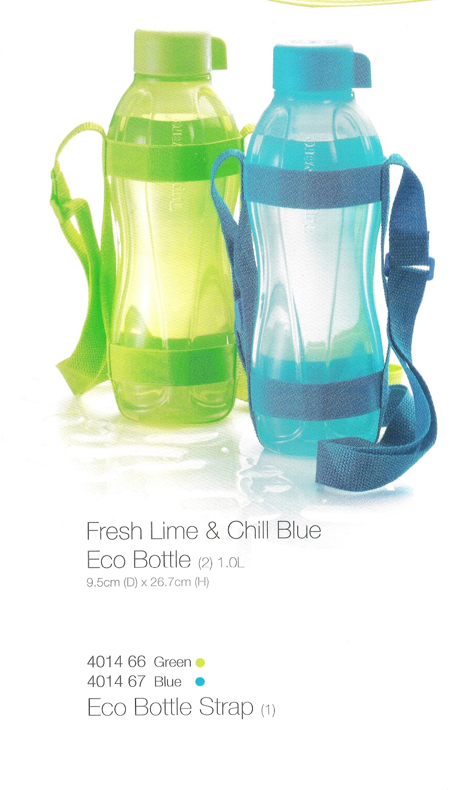 BOTOL MINUM TUPPERWARE, HARGA BOTOL MINUM TUPPERWARE,TUPPERWARE BOTOL ...