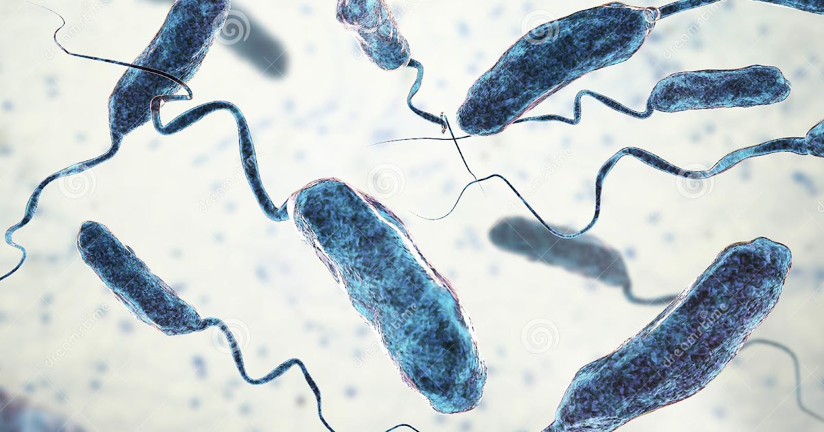 Mahasiswa dan Biologi: Vibrio dan Vibriosis