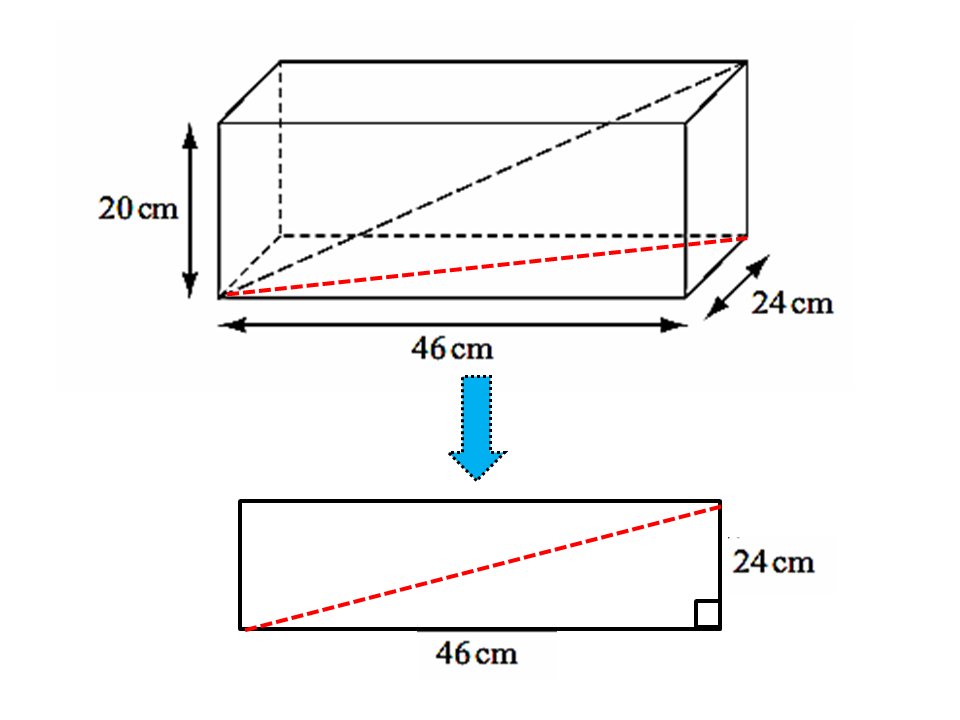 3D Problem | IGCSE at Mathematics Realm