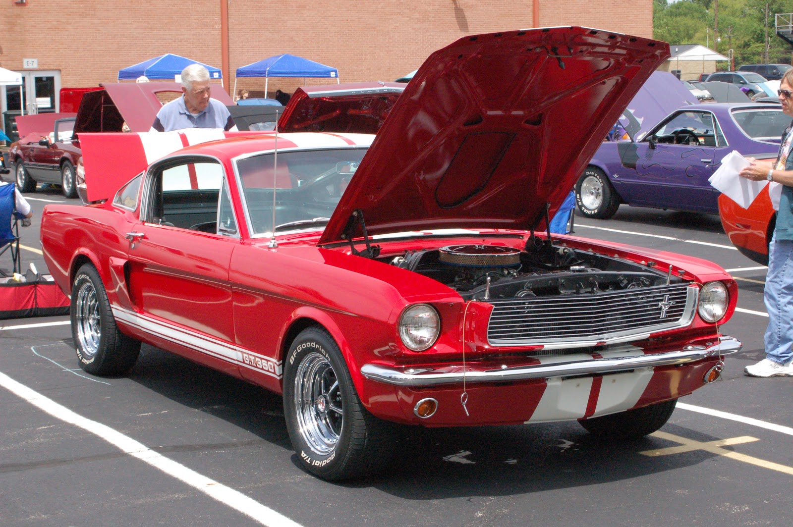 Early Season Mustangs | Most Popular Car