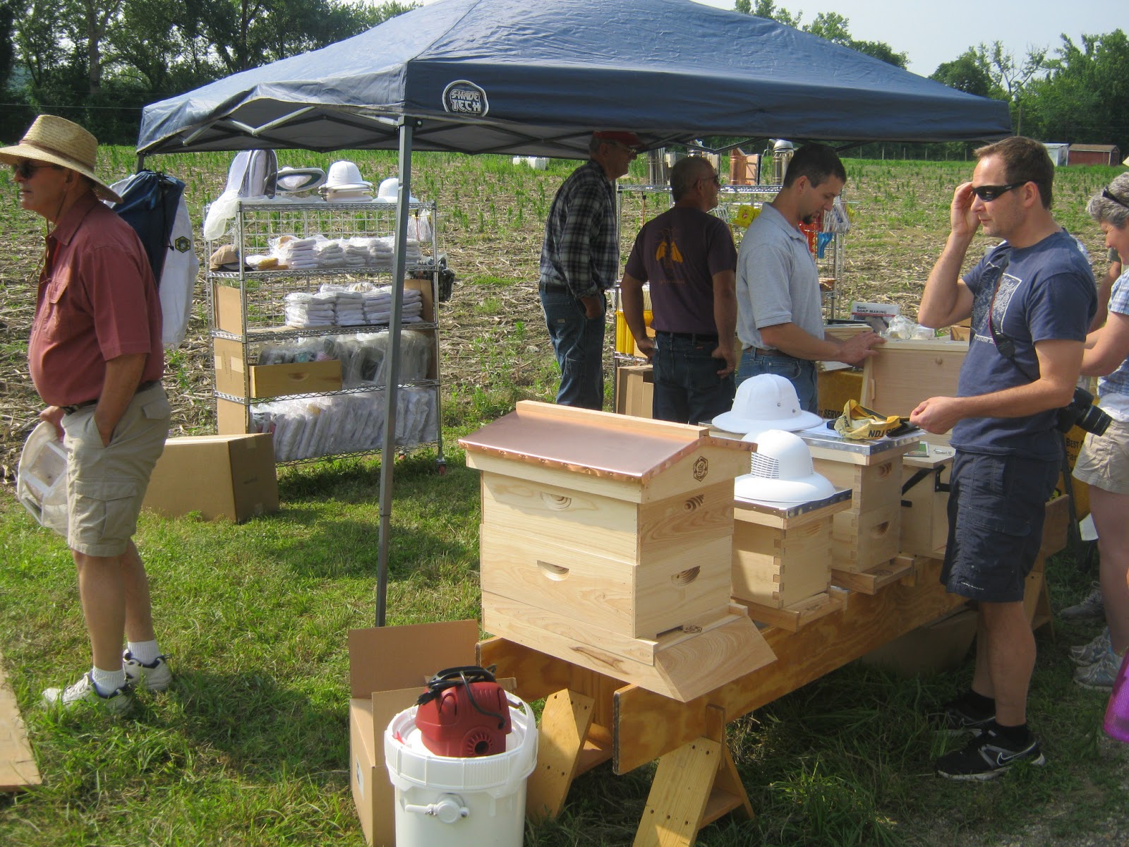 Steven's Bees: Mass Bee Field Day 2013