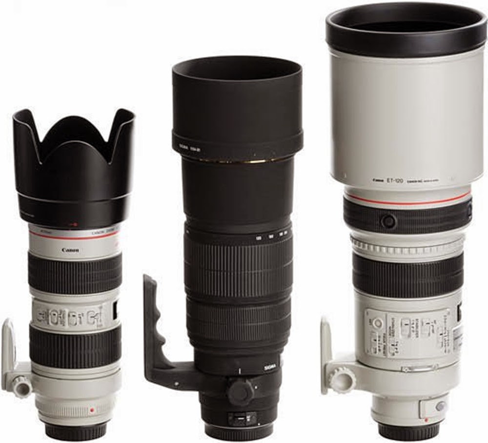 Jenis Lensa Kamera SLR dan DSLR ~ Recent Notification