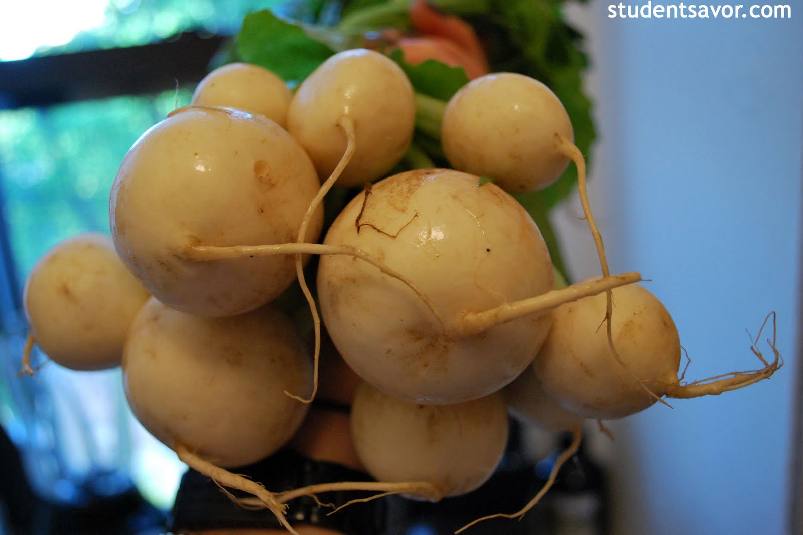 STUDENT SAVOR: Mustard Glazed Turnips