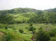 Issayas' blog (መኣዲ ኢሳያስ) Welcome ንቐደም በሉ: General Abraham P. Hannibal ...