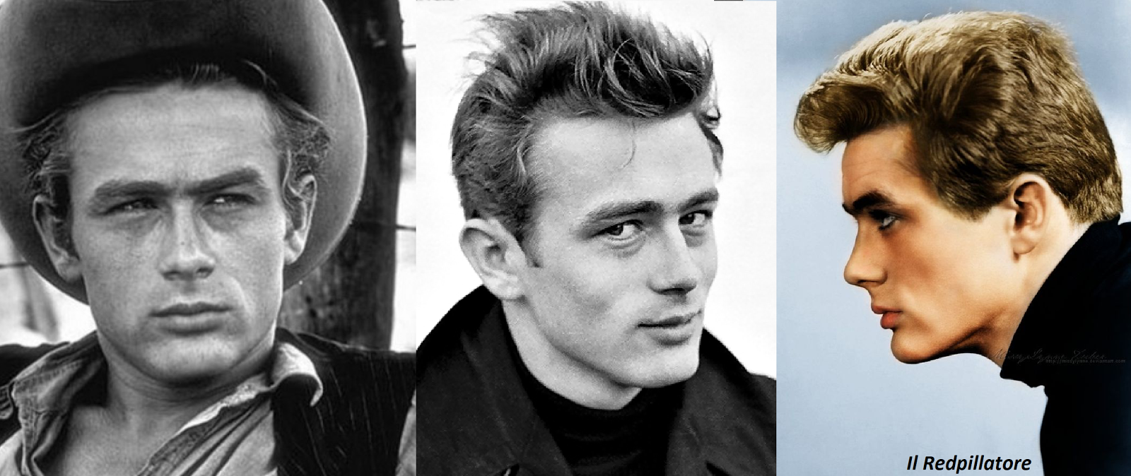 The Most Beautiful Phenotypes - I Fenotipi e i Tratti Somatici più ...