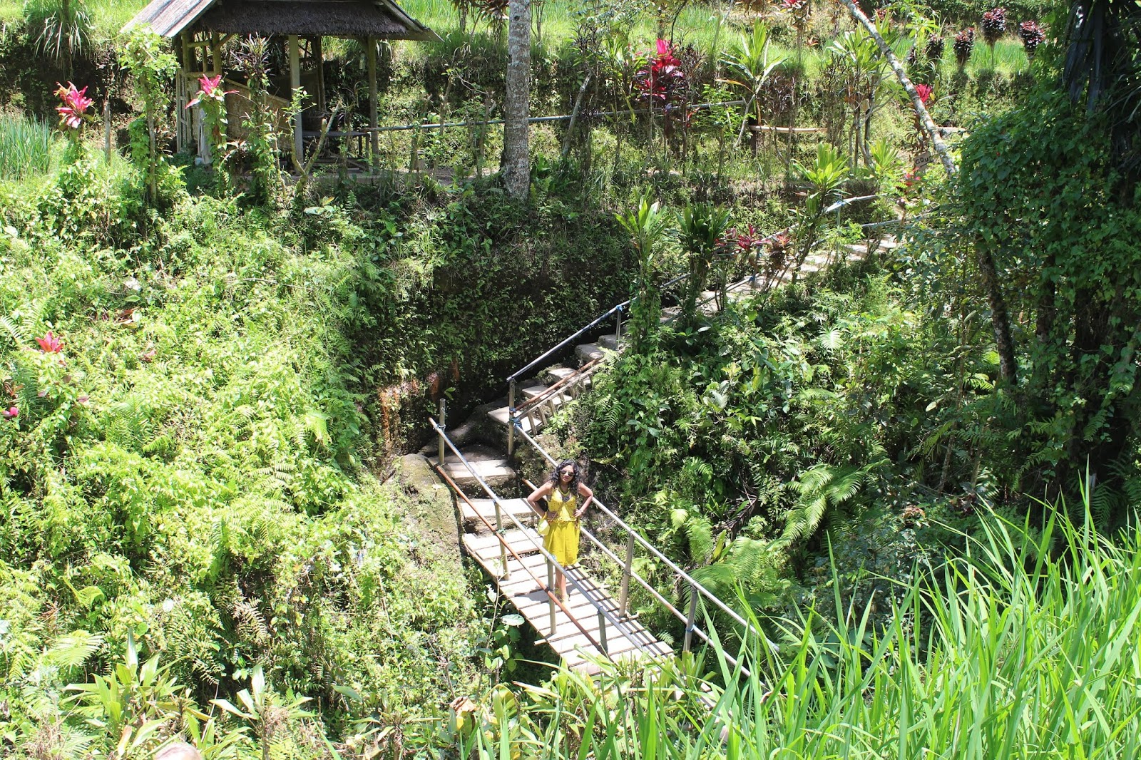 The best place to see rice terraces in Bali, Indonesia - DocDivaTraveller