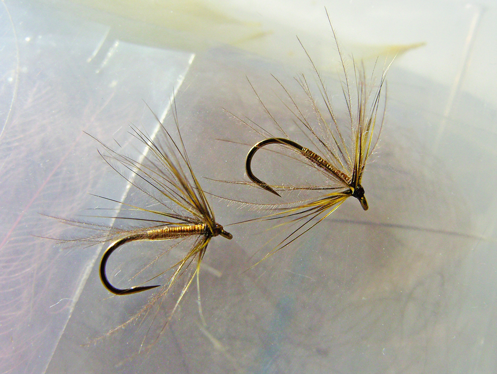 North Country Angler: Dark olive spiders