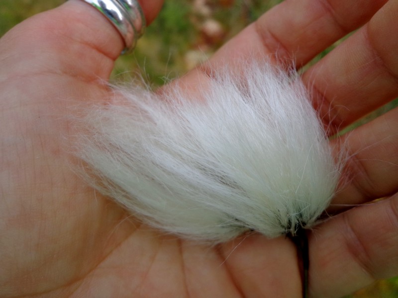 AdventureLisa: Ireland 5 - sun and more trail