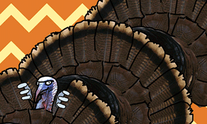 Funny Thanksgiving Gifs Free Download For Facebook