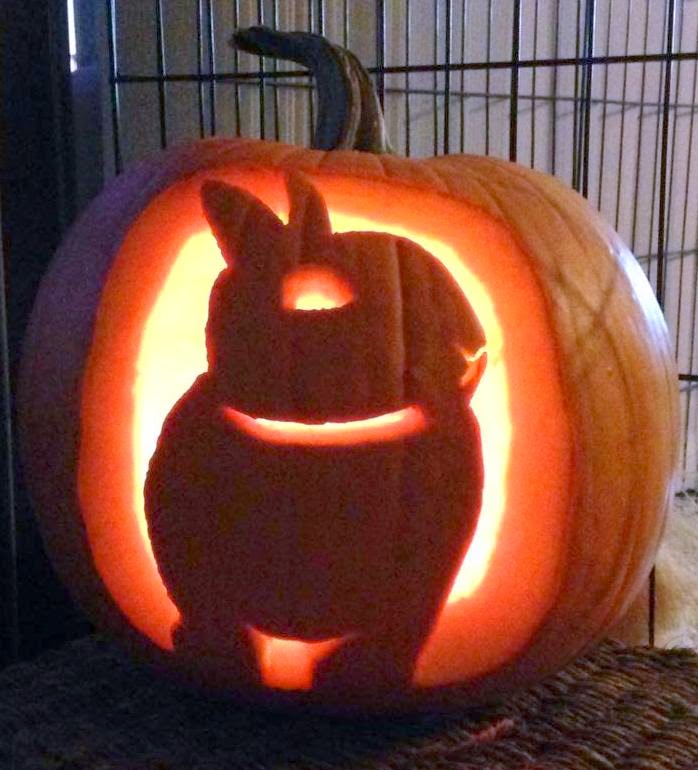 Rabbit Ramblings: Bun o' lanterns -- Bunny pumpkins for Halloween