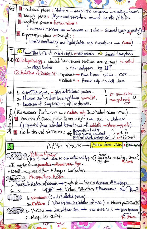 Virology Summary in 7 Pages