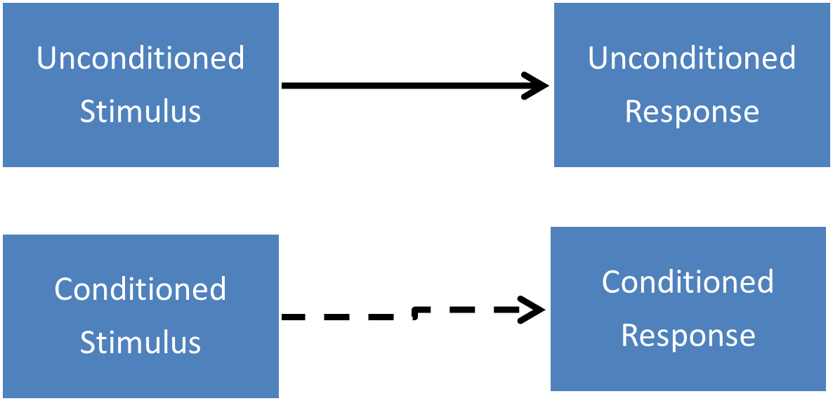 Connecting Students: Topic 3 - Consumer Learning, Habit and Brand Loyalty