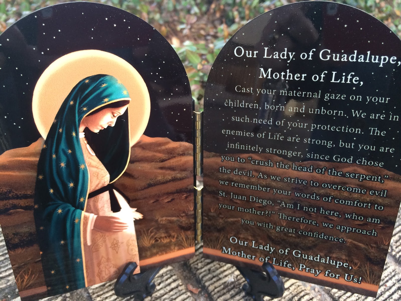 I'm so thankful for my life!: Our Lady of Guadalupe, Mother of Life ...
