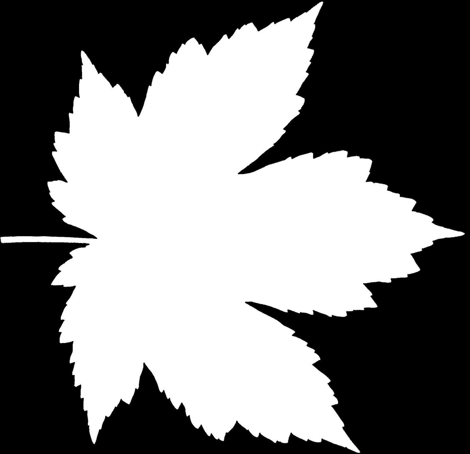 HIGH RESOLUTION TEXTURES: Leaf Textures